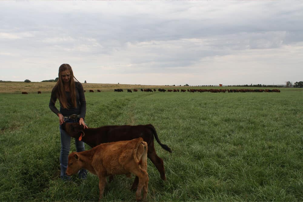 Ranch Raised Beef | Colorado Beef | Christensen Ranch