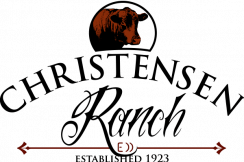 Ranch Raised Beef | Naturally Raised Colorado Beef | Christensen Ranch